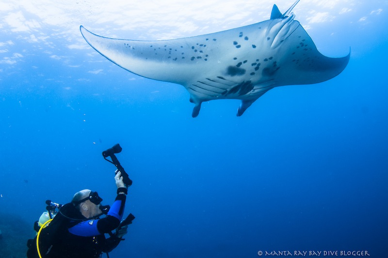 Manta Mating Season - Manta Ray Bay Resort - Yap, Micronesia